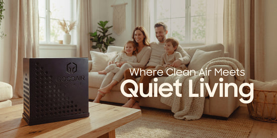 Best Car Air Purifier In UAE | Non-Electric & Long-Lasting | GOODAIR